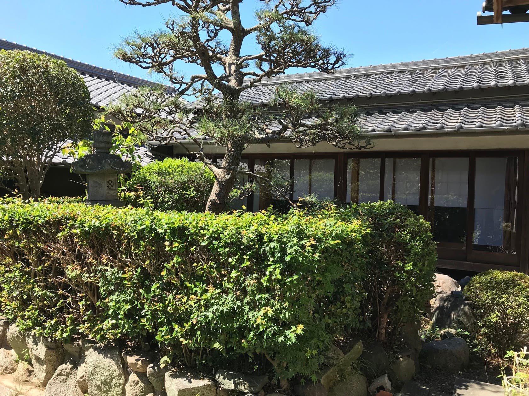 おばあちゃんの茶室 女子会・撮影・お茶会・茶道体験も！の写真9
