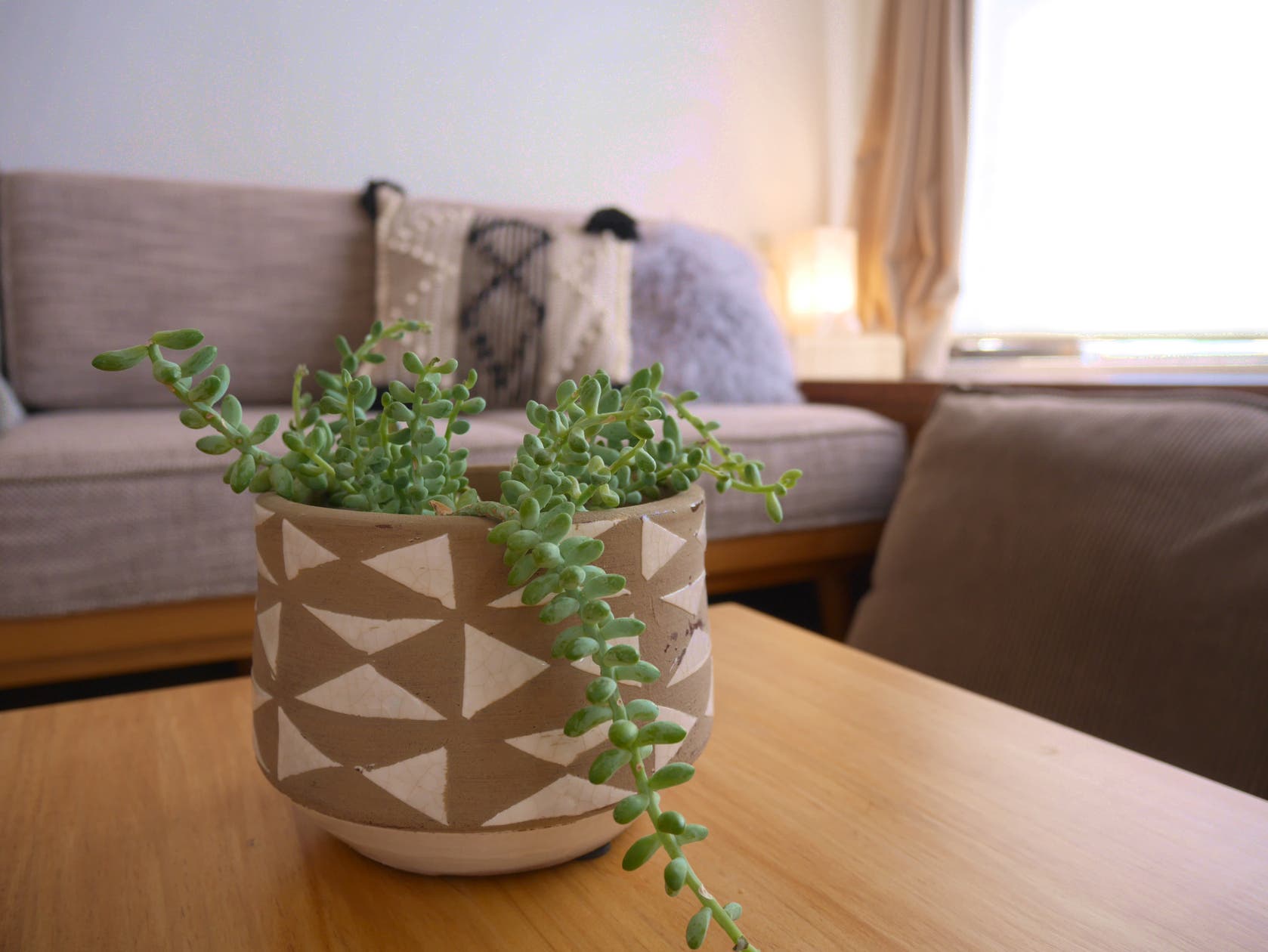 ★100インチ巨大スクリーン！【新高円寺駅徒歩3分】フロア丸々70㎡の写真25