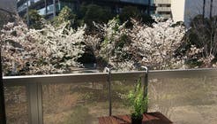 3LDk,3トイレ貸し切りタイプ誕生日会、同窓会,忘年会ご利用などに!の写真2