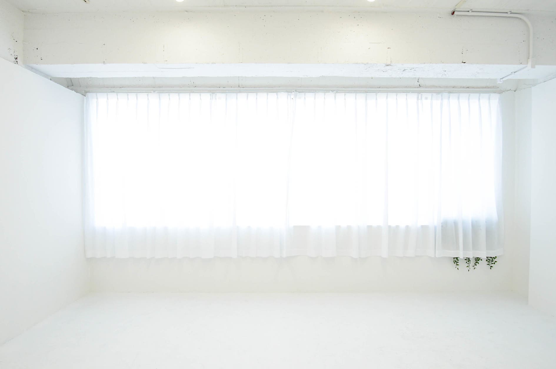 7スタ（+屋上）/心斎橋ドレススタジオの写真4