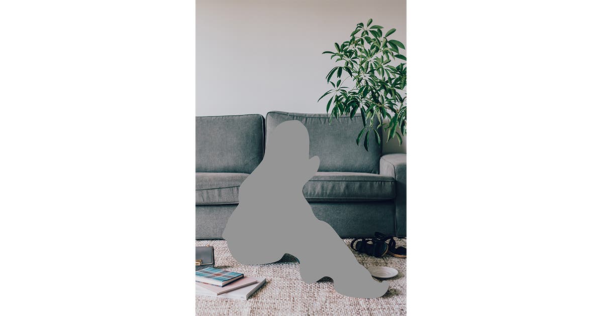 【新国立競技場目の前】自然光◎立地◎撮影/会議室/イベントetc..の写真15