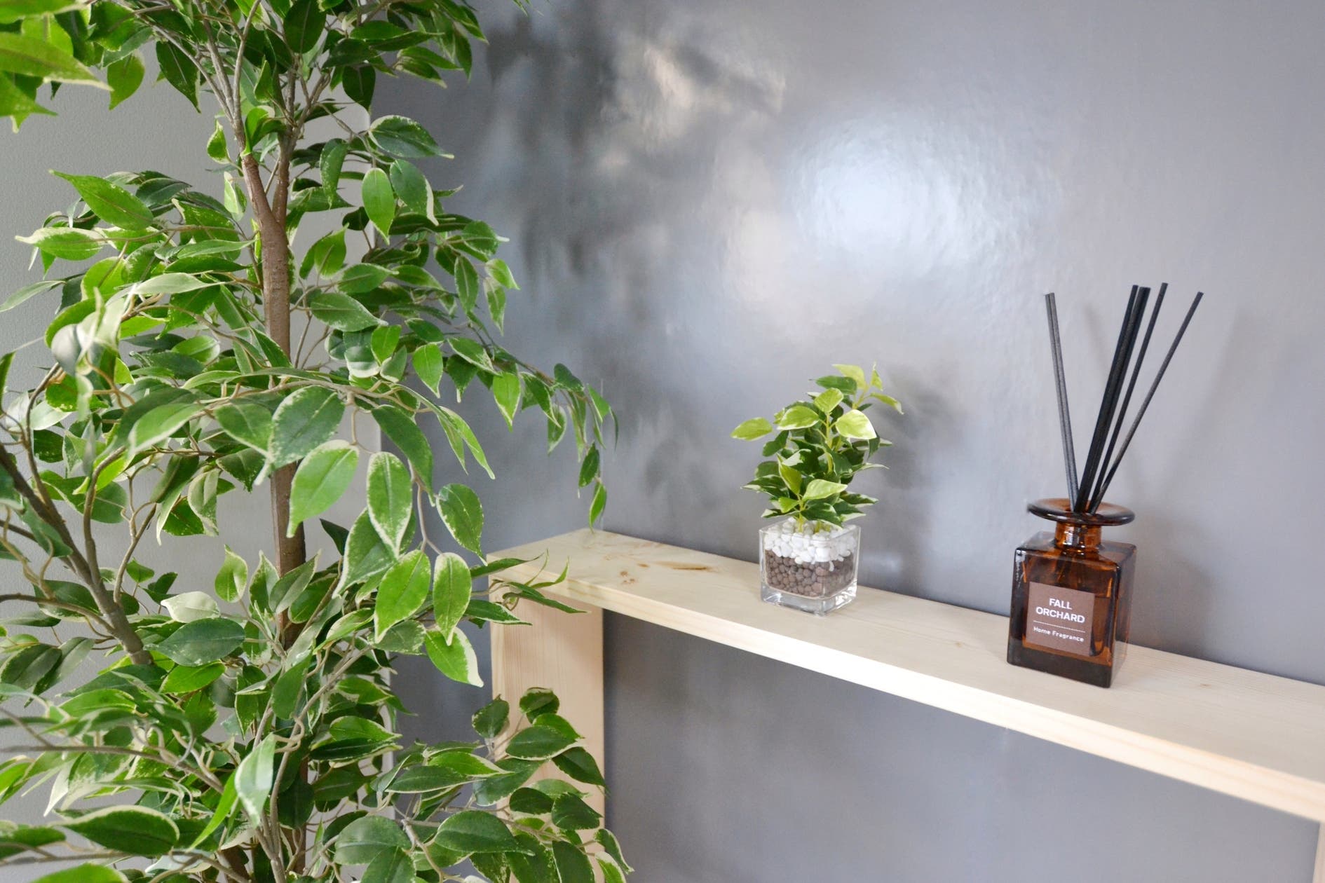 スペモ📷クリスマス🎄渋谷駅４分🚶パーティー✨飲み会🍻歓送迎会🎊激安🪙デート♟️ゲーム🎮079_Lagom1stの写真16