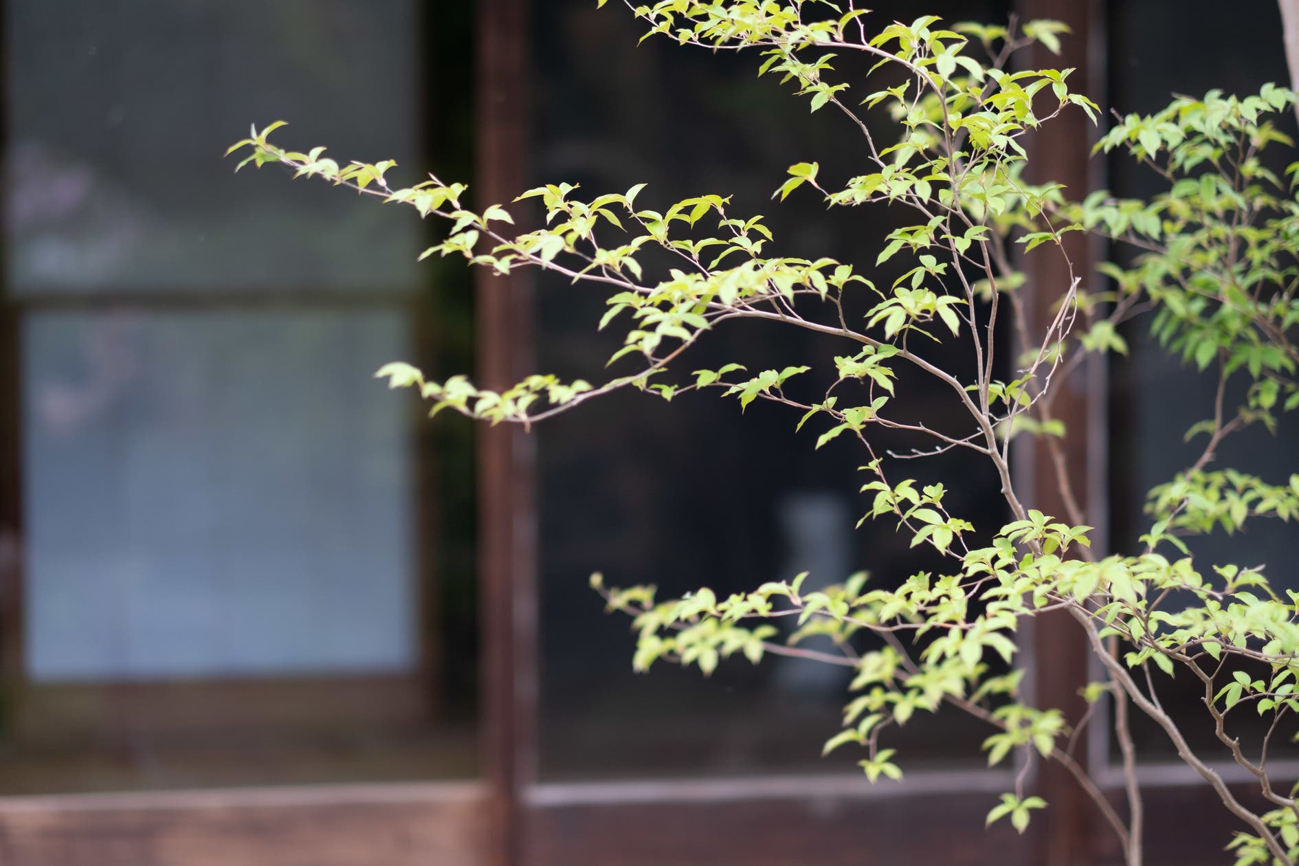 古都鎌倉の築160年を超える古民家のイベントスペースの写真7