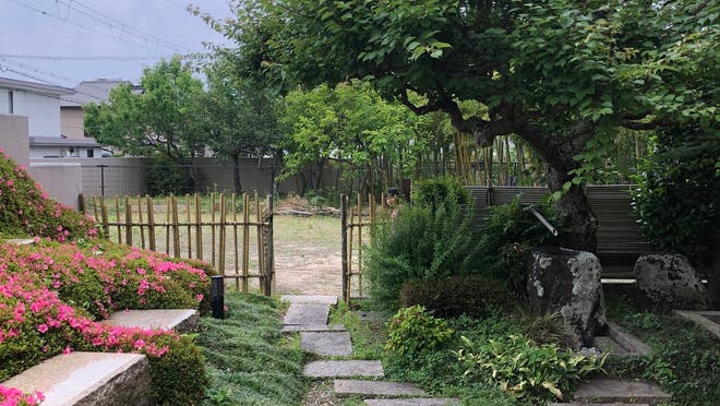 大阪の広々和個室でパーティ・家族会・宴会しませんか?【光風台駅より徒歩4分】の写真7