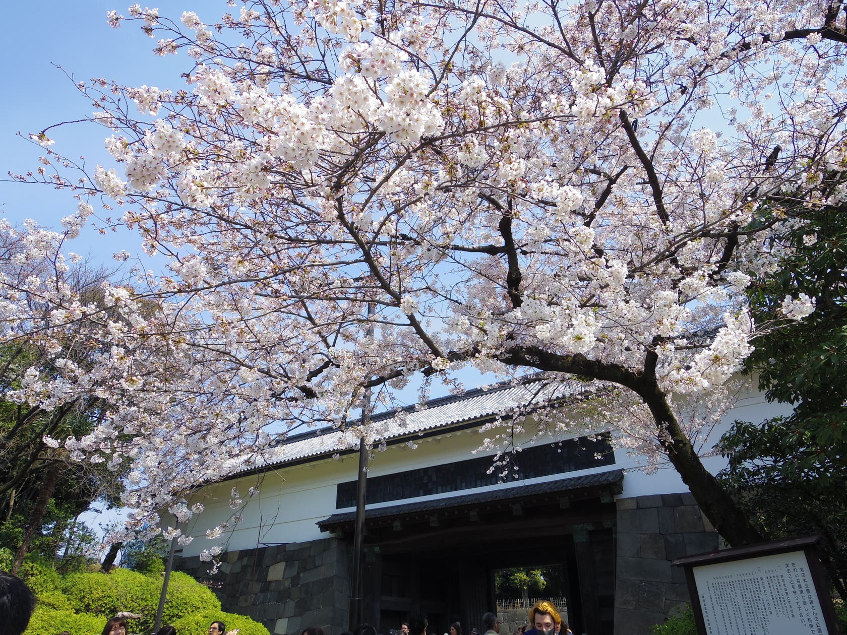 【四谷】＊本格茶室＊キッチン＊都会の真ん中ながら静かな隠れ家的ギャラリースタジオ☆の写真16