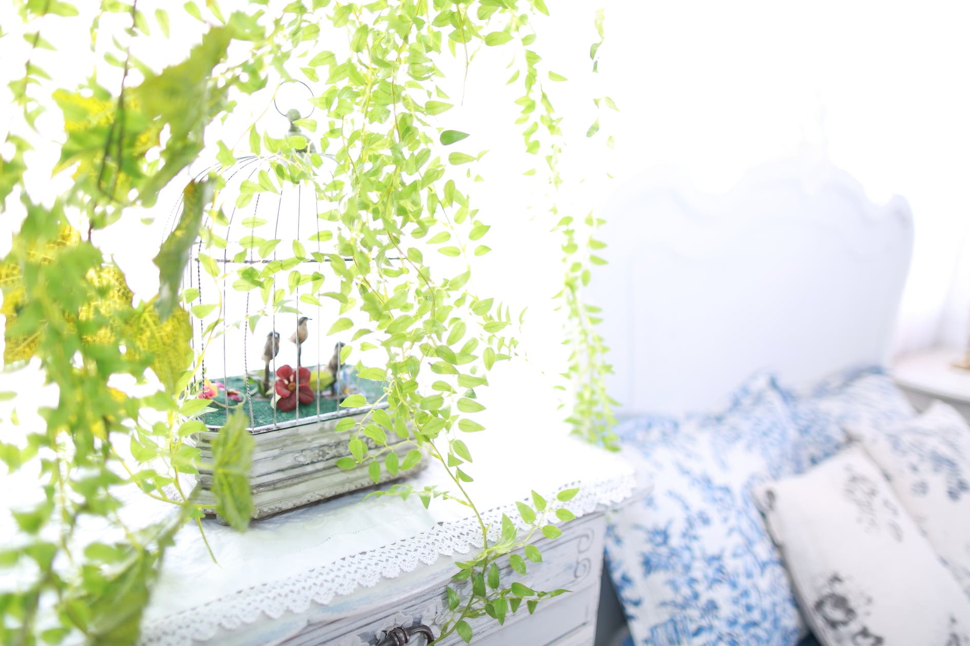 🎊今だけ特割🎁秋葉原4分⭐本格アンティーク家具が彩るシャビーシック撮影スタジオ✨ポートレート、撮影会、作品撮りに特別な一枚を📷の写真12