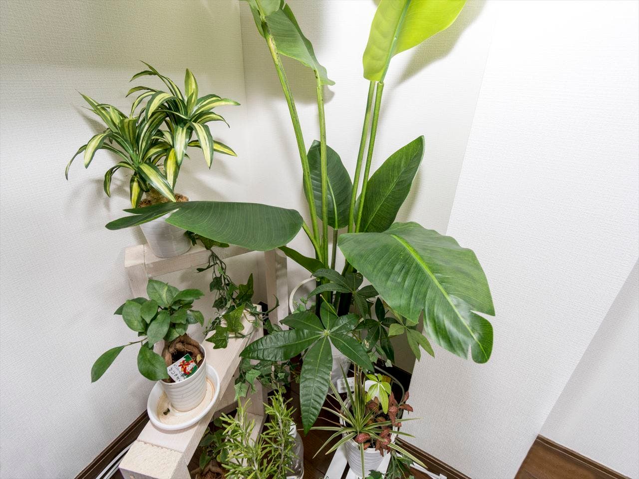 ☆高崎駅西口徒歩3分☆”０円”オプション充実/65型TV/JCOMスタンダード視聴可☆の写真6