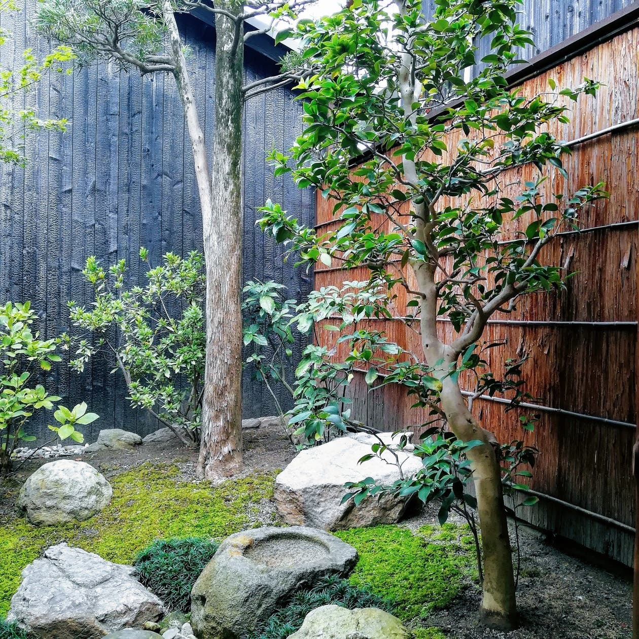 【50％割引中】西村邸 茶室 ~2つの庭園を臨む、ひなびた和室 集会／展示／撮影などに~の写真5