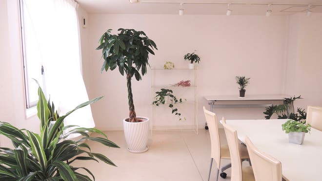 ★ セレッサ1F ★ 撮影、フィットネス、セミナー、女子会などに!駐車場、WiFi完備、自然光あり、藤塚インター5分の写真16