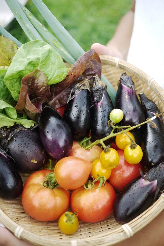 長野県のど田舎！築150年の古民家ゲストハウス梢乃雪の写真16