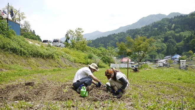 長野県のど田舎!築150年の古民家ゲストハウス梢乃雪の写真27