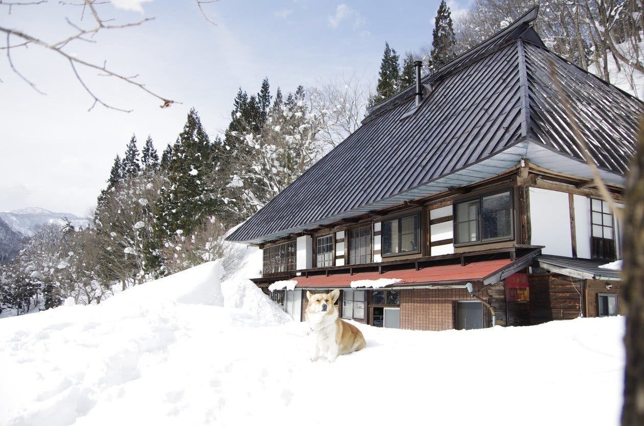 長野県のど田舎！築150年の古民家ゲストハウス梢乃雪の写真29