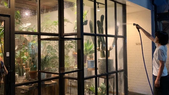 哲学の道近くの白川通りに面した、外装・内装共に異国情緒溢れるフラワーショップ「MATAHARI」のレンタルスペース!の写真5