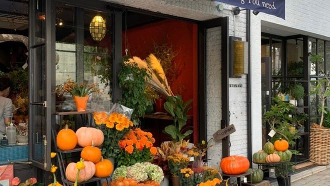 哲学の道近くの白川通りに面した、外装・内装共に異国情緒溢れるフラワーショップ「MATAHARI」のレンタルスペース!の写真2