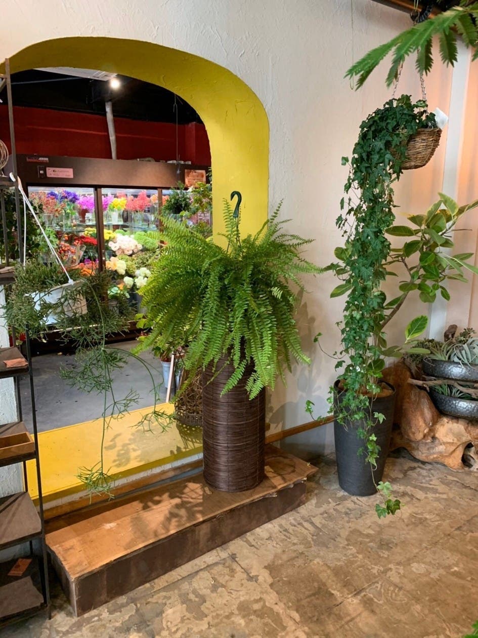 哲学の道近くの白川通りに面した、外装・内装共に異国情緒溢れるフラワーショップ「MATAHARI」のレンタルスペース！の写真7