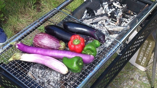 【秋葉原から40分 つくばエクスプレスみらい平駅】しずかな農村にある古民家を利用してみませんか?の写真21