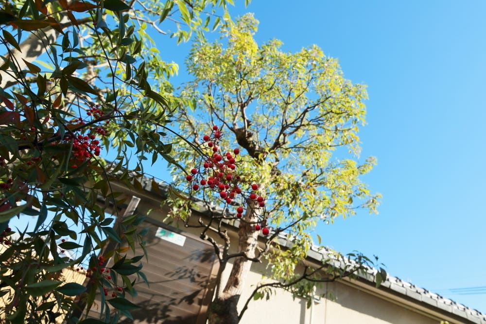 【ならまちパーティスペース】近鉄奈良駅徒歩10分！町屋が並ぶ「ならまち」でパーティはいかが！の写真21