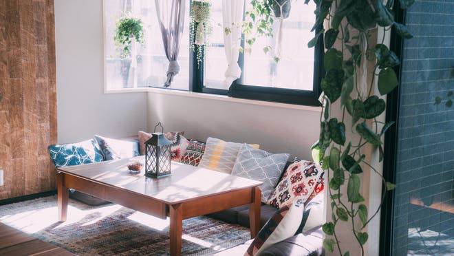 【自然光・日当たり良好】PV撮影📷・グランピングをテーマにしたスペース🏠・パーティ🍕・会議💻の写真9