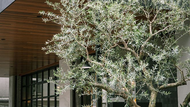 【中目黒駅】から徒歩6分、開場広さ100㎡、100人収容可能(撮影・セミナー・展示会・パーティーなどに)の写真9