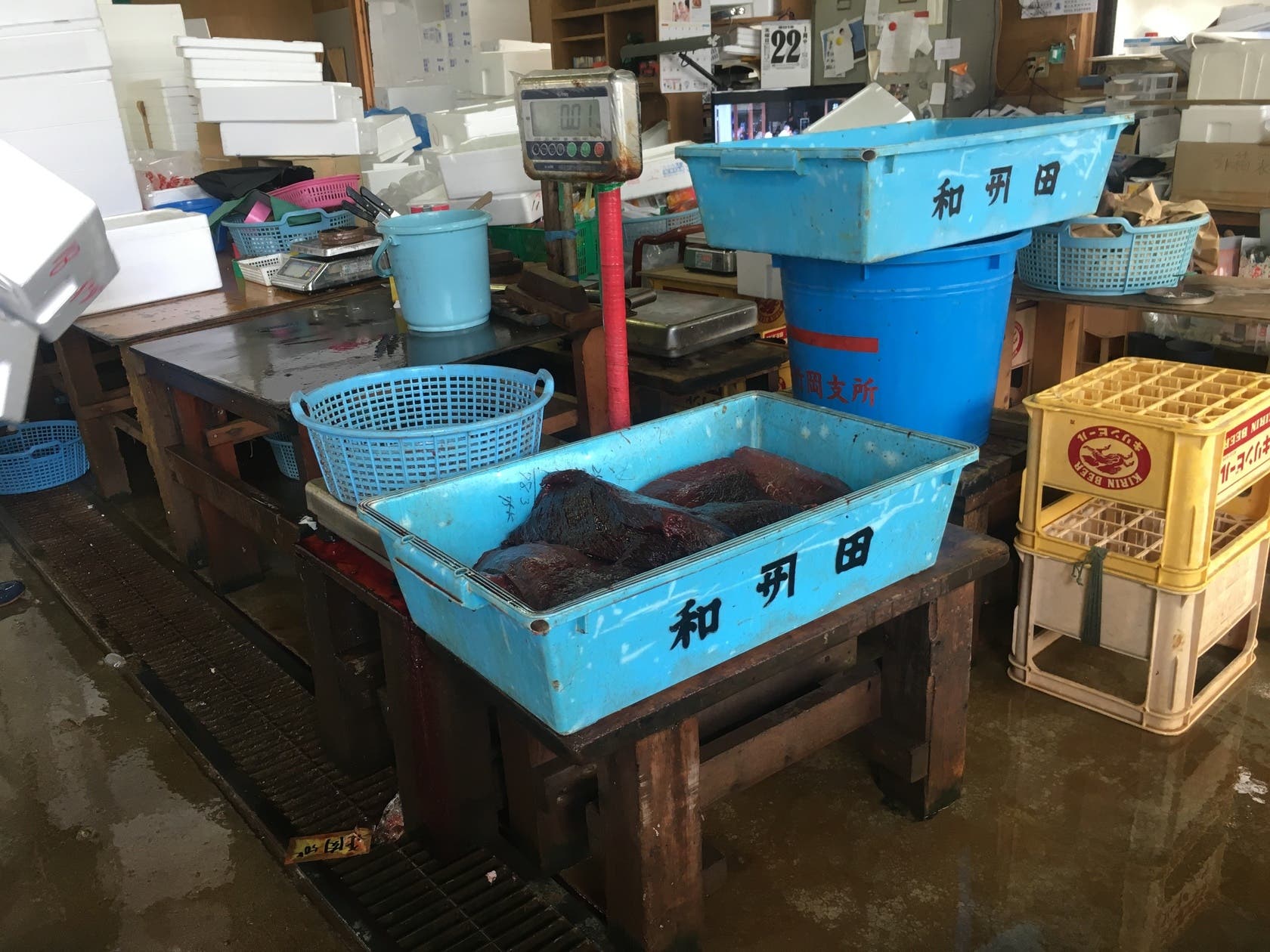 海そばのアートホテルで合宿、撮影、女子会、サーフィン、釣り、漁港、牧場、農業体験、神社仏閣巡りで２拠点生活、フレッシュに！の写真20