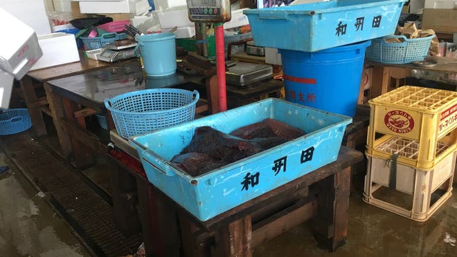 海そばのアートホテルで合宿、撮影、女子会、サーフィン、釣り、漁港、牧場、農業体験、神社仏閣巡りで2拠点生活、フレッシュに!の写真20