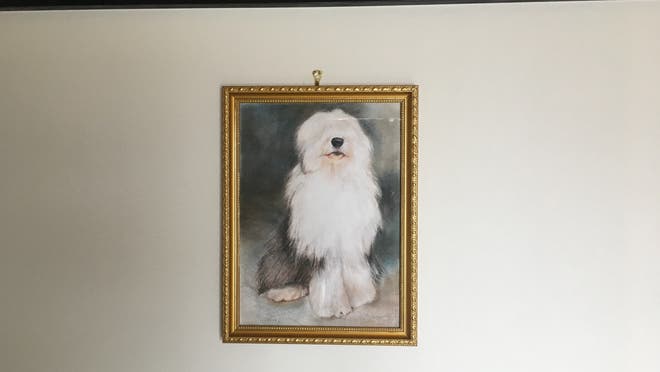 海そばのアートホテルで合宿、撮影、女子会、サーフィン、釣り、漁港、牧場、農業体験、神社仏閣巡りで2拠点生活、フレッシュに!の写真22