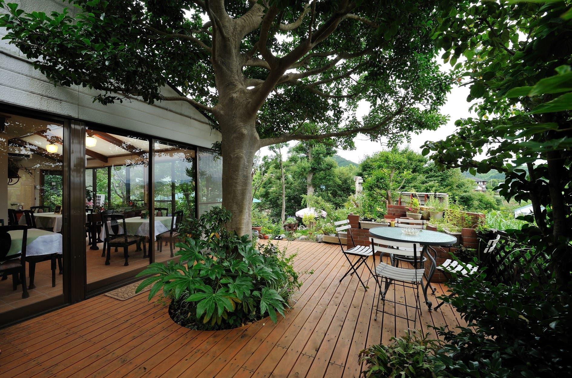 【200坪のガーデン】300種の草木が彩る秘密の庭｜山の上の元ペンションの広々空間を1棟丸ごと完全貸切｜の写真10