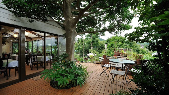 【200坪のガーデン】300種の草木が彩る秘密の庭|山の上の元ペンションの広々空間を1棟丸ごと完全貸切|の写真10