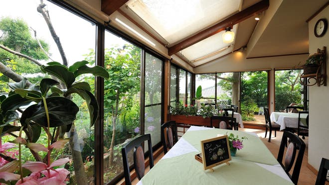 【200坪のガーデン】300種の草木が彩る秘密の庭|山の上の元ペンションの広々空間を1棟丸ごと完全貸切|の写真4