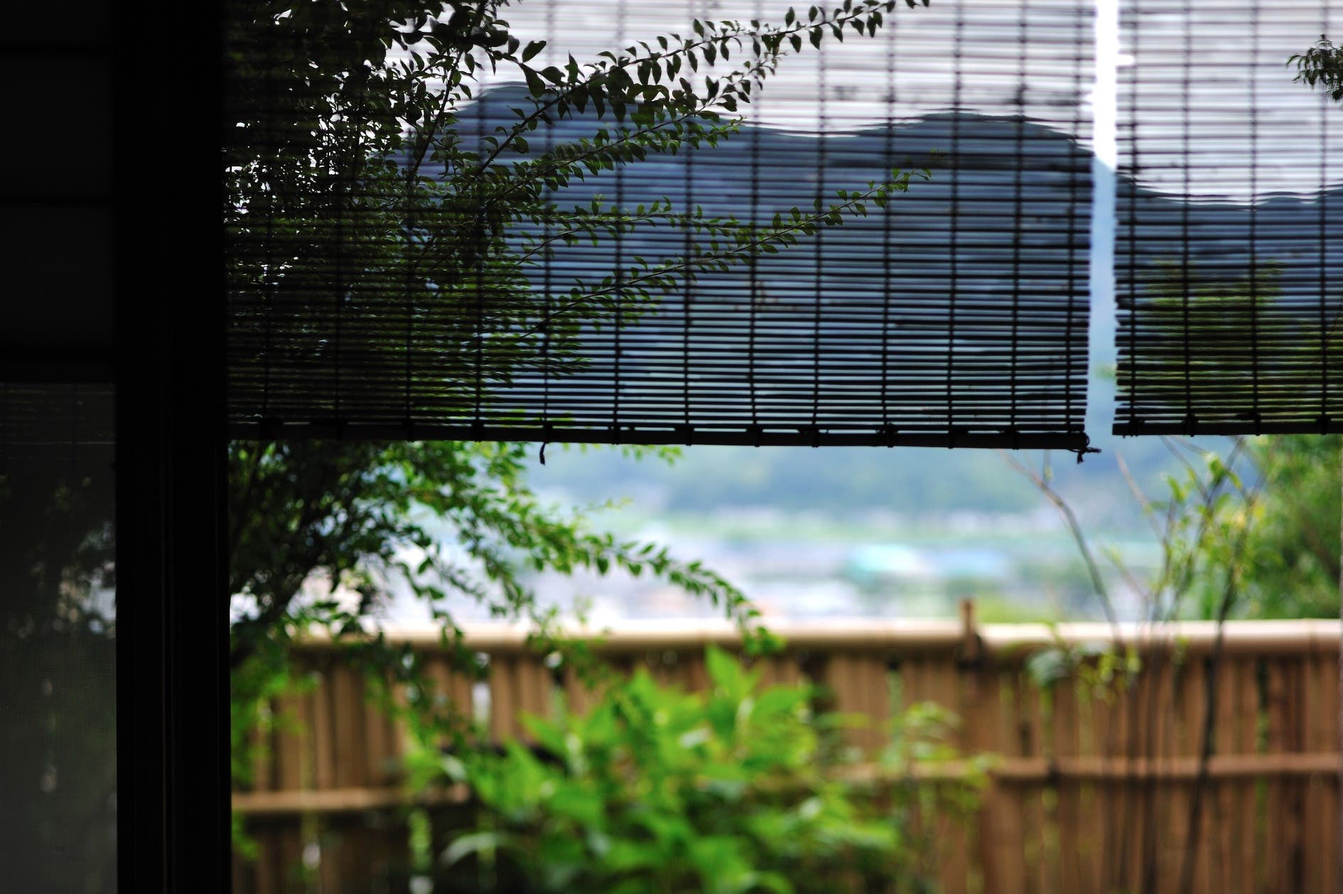 【200坪のガーデン】300種の草木が彩る秘密の庭｜山の上の元ペンションの広々空間を1棟丸ごと完全貸切｜の写真8