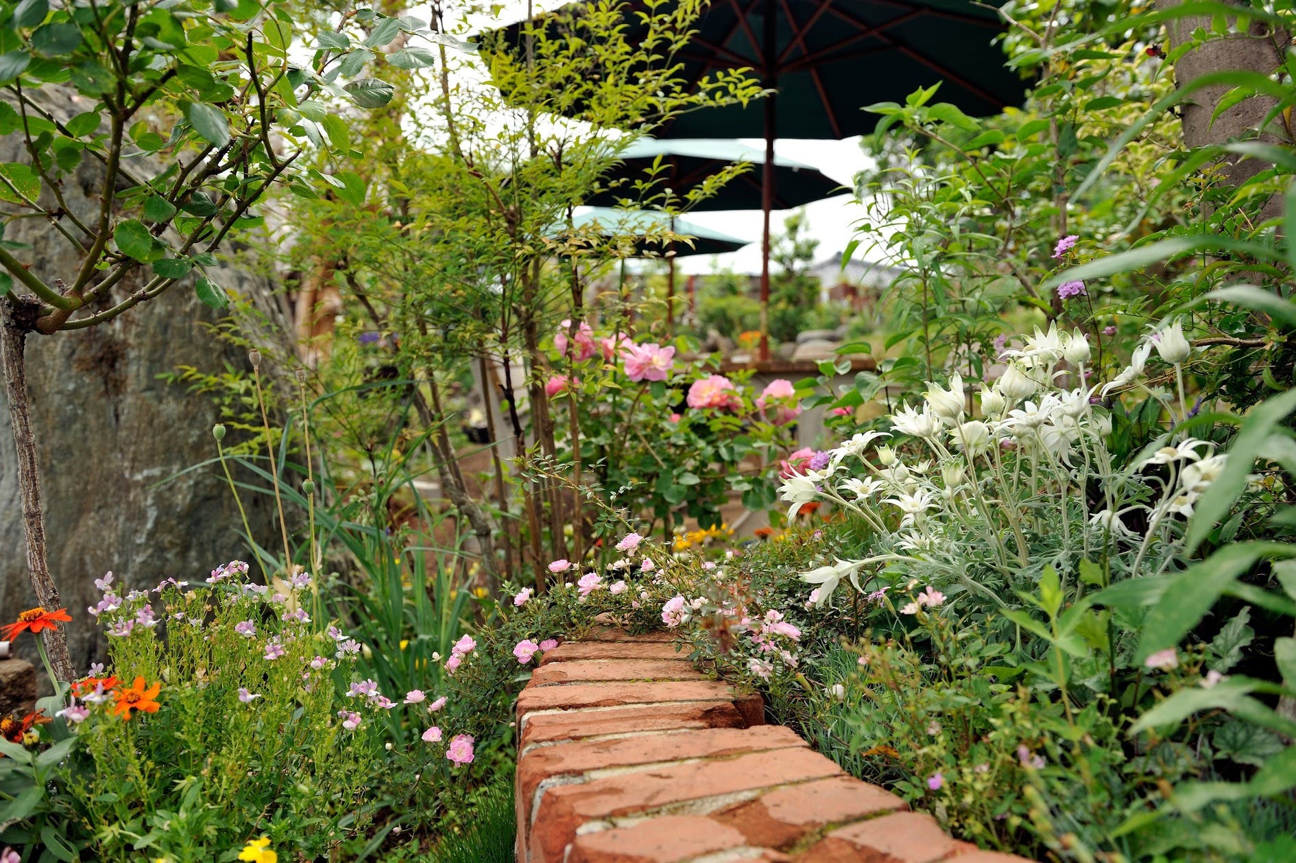 【200坪のガーデン】300種の草木が彩る秘密の庭｜山の上の元ペンションの広々空間を1棟丸ごと完全貸切｜の写真12