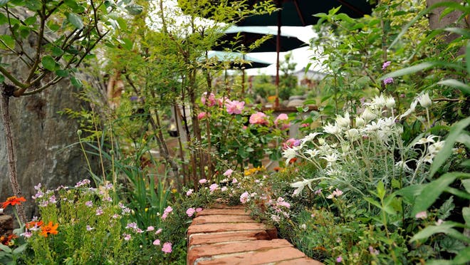 【200坪のガーデン】300種の草木が彩る秘密の庭|山の上の元ペンションの広々空間を1棟丸ごと完全貸切|の写真12