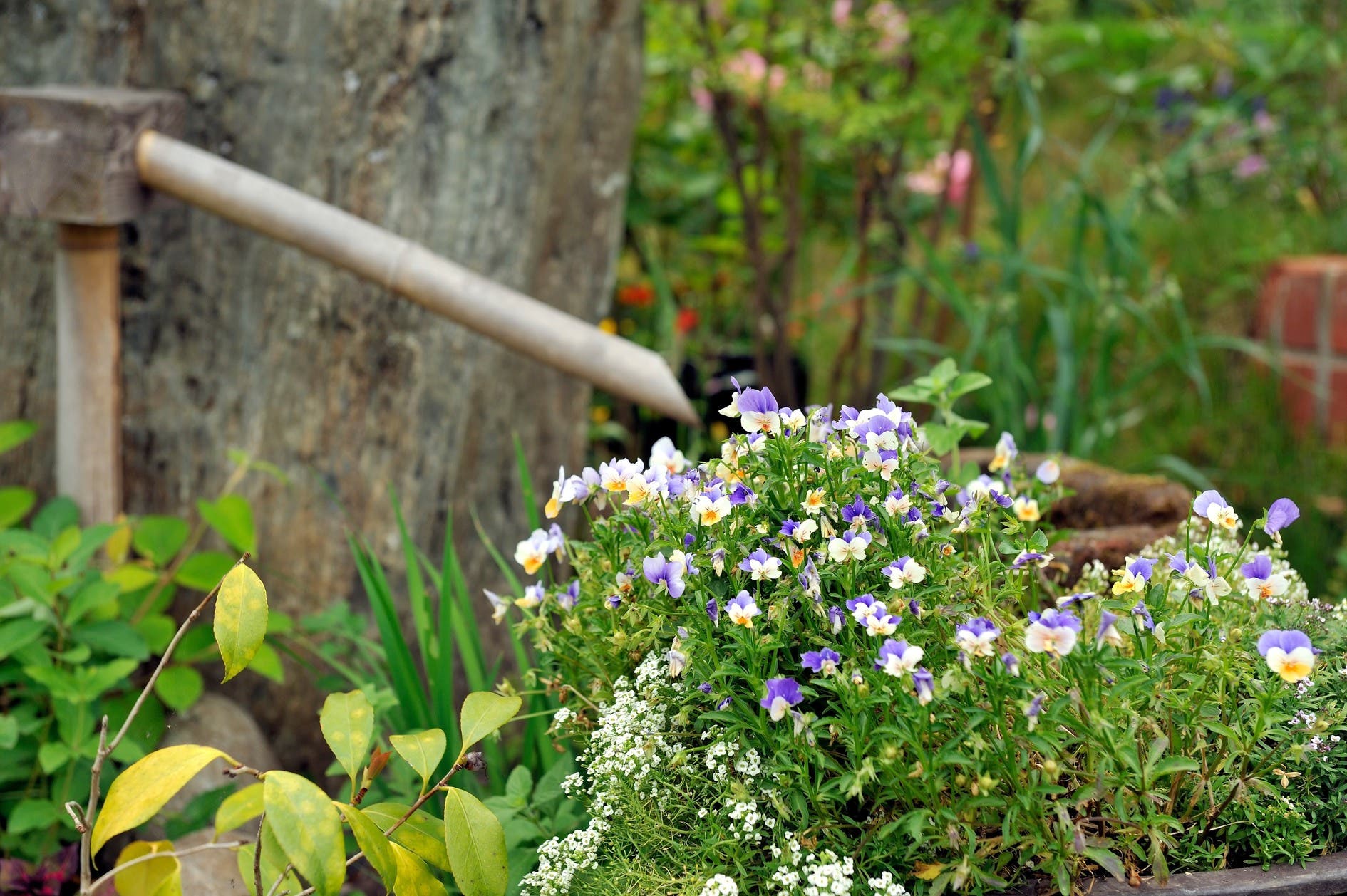 【200坪のガーデン】300種の草木が彩る秘密の庭｜山の上の元ペンションの広々空間を1棟丸ごと完全貸切｜の写真13