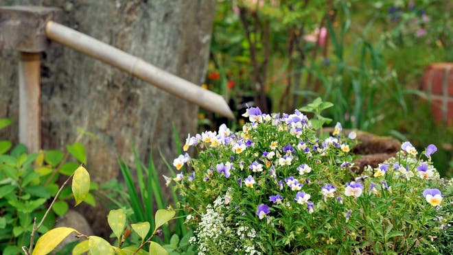 【200坪のガーデン】300種の草木が彩る秘密の庭|山の上の元ペンションの広々空間を1棟丸ごと完全貸切|の写真13