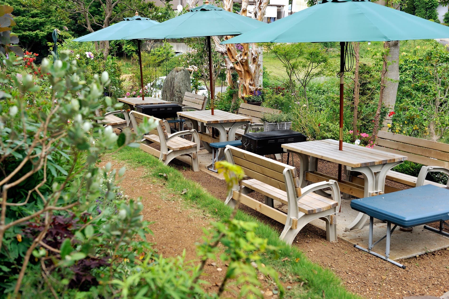 【200坪のガーデン】300種の草木が彩る秘密の庭｜山の上の元ペンションの広々空間を1棟丸ごと完全貸切｜の写真14