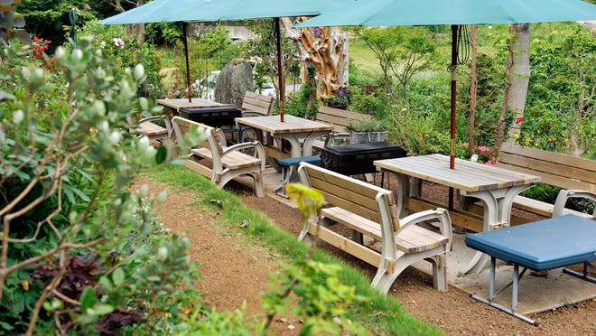 【200坪のガーデン】300種の草木が彩る秘密の庭|山の上の元ペンションの広々空間を1棟丸ごと完全貸切|の写真14