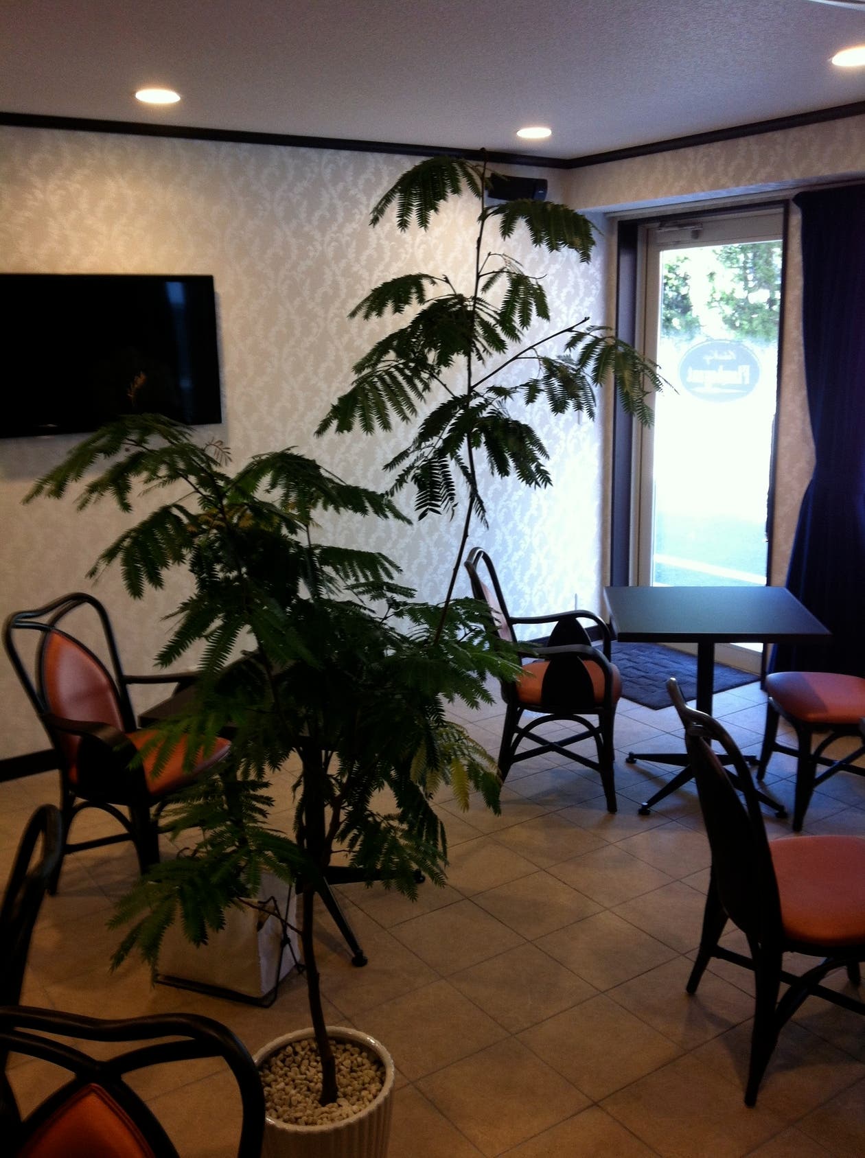 StudioR.　台東区谷中にあるカフェが併設された多目的レンタルスタジオ！の写真4