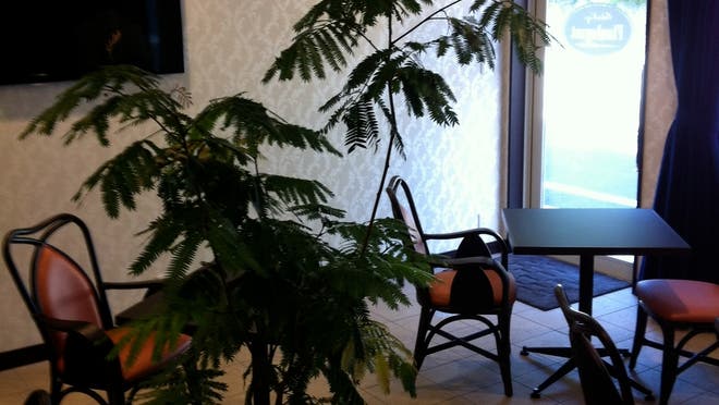 StudioR. 台東区谷中にあるカフェが併設された多目的レンタルスタジオ!の写真4