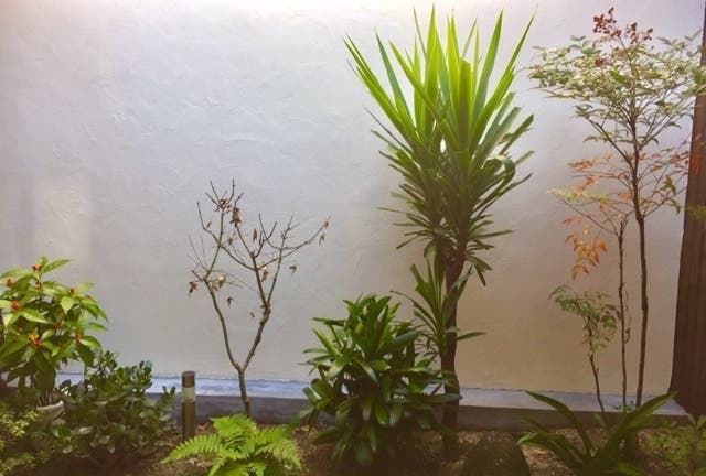 *町家レンタルスペース＊丸本屋（築70年坪庭付き)【パーテイー・TV・映画のロケ・コスプレ撮影】予約リクエストの写真20