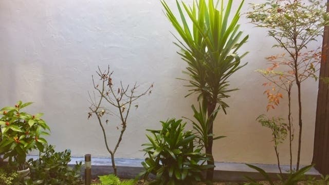 *町家レンタルスペース*丸本屋(築70年坪庭付き)【パーテイー・TV・映画のロケ・コスプレ撮影】予約リクエストの写真20