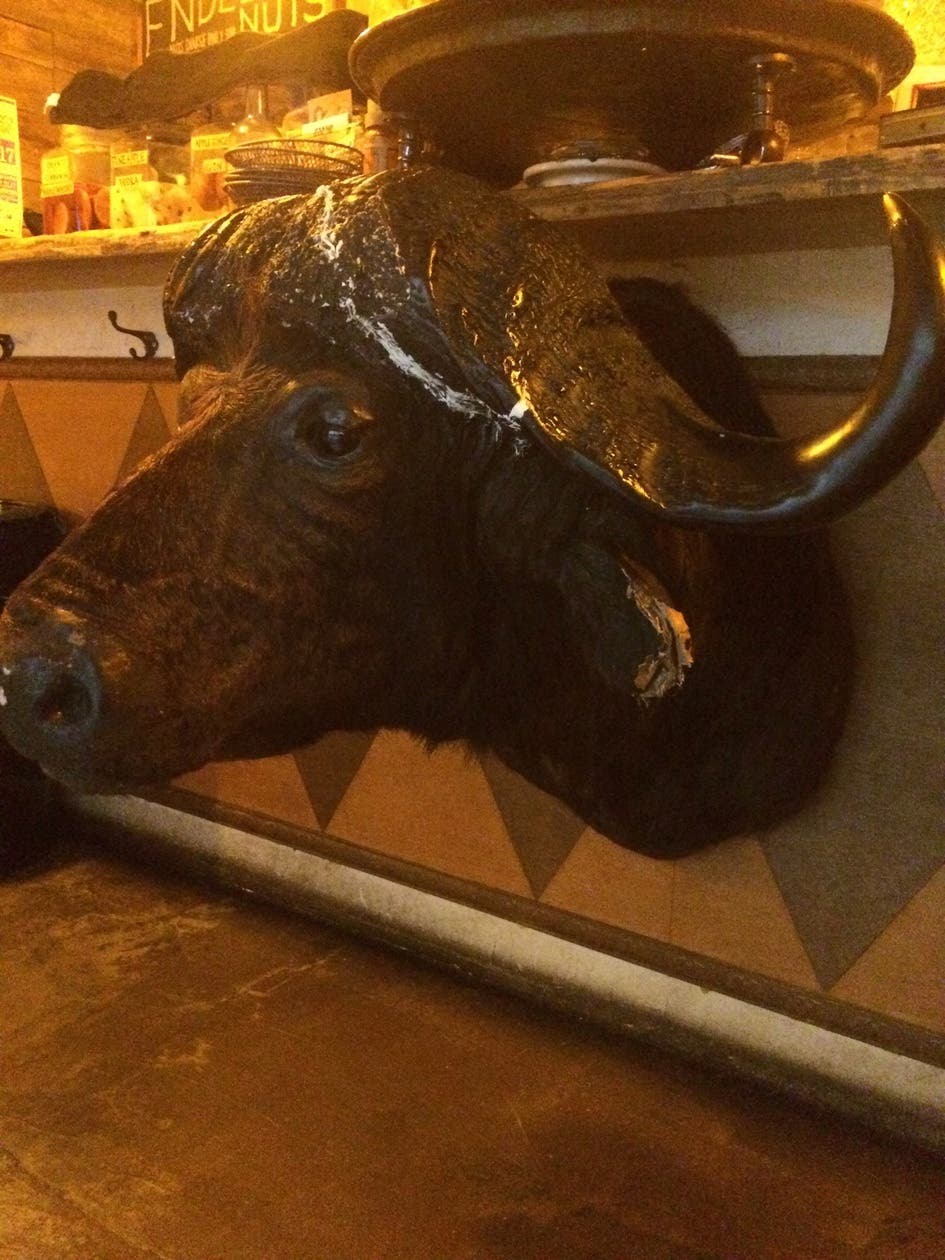 バーのイメージ写真用に最適の写真35