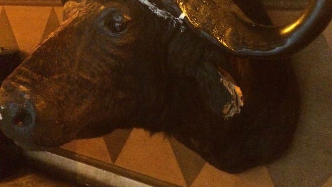 バーのイメージ写真用に最適の写真35