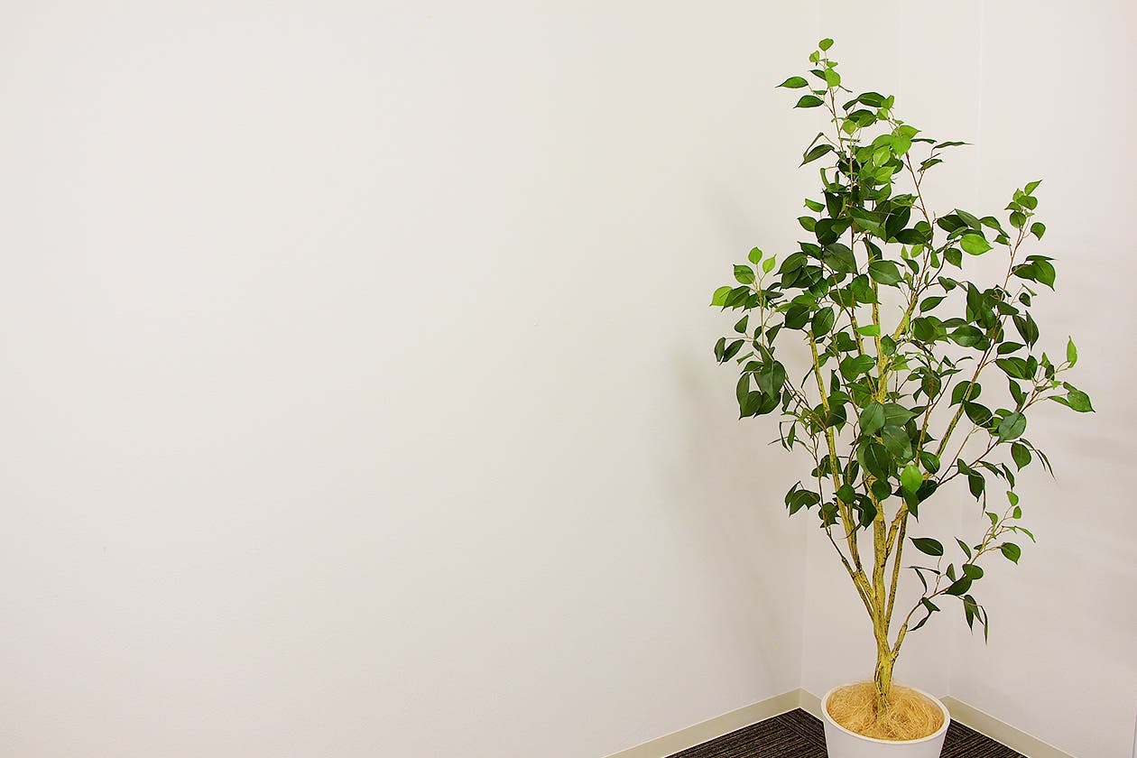 天満橋駅徒歩5分♪49型モニター♪Wi-fi♪1～14名程度♪見学・飲食可♪窓2か所♪会議、商談、面接、オフ会などに最適♪の写真8