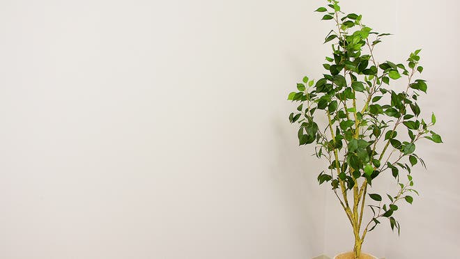 49型モニター♪天満橋駅徒歩5分♪Wi-fi♪1~14名程度♪見学・飲食可♪窓2か所♪会議、商談、面接、オフ会などに最適♪の写真8