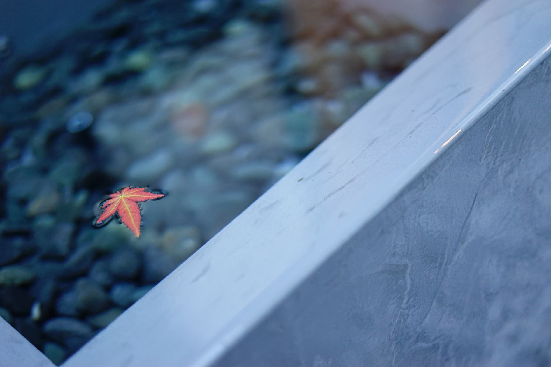 【町家ホテルYANAGI】アクセス抜群・京町家を丸ごと貸切！撮影・勉強会・文化教室・会議などに！の写真17