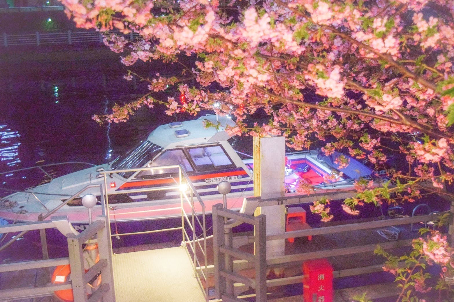 アニー号で『忘れられない記念日創り』の写真7