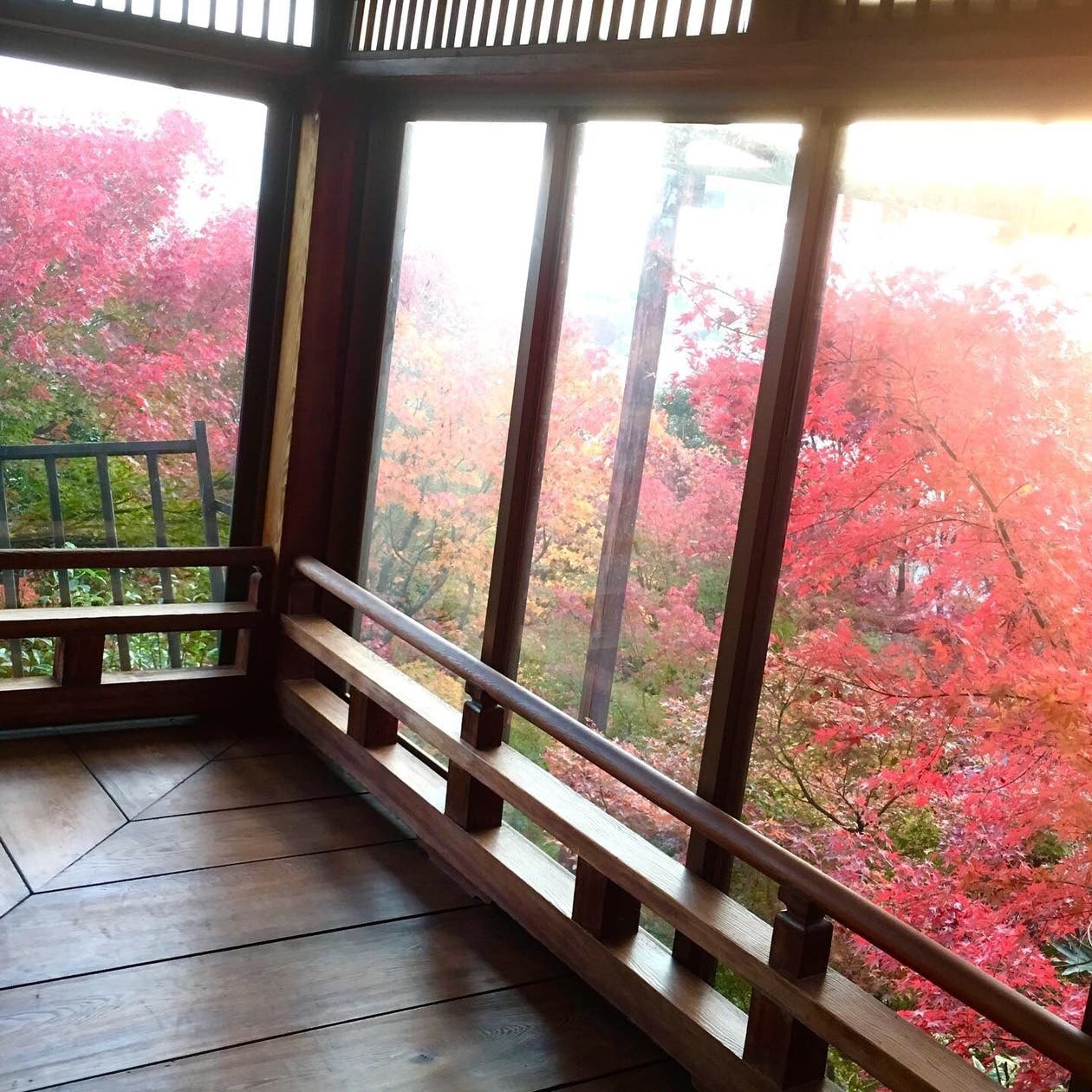 築100年以上！寺造りの日本家屋。成人式の前撮りや七五三の撮影、コスプレ撮影などに！の写真4