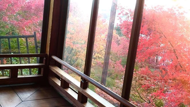 築100年以上!寺造りの日本家屋。成人式の前撮りや七五三の撮影、コスプレ撮影などに!の写真4