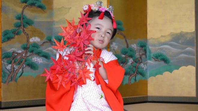 築100年以上!寺造りの日本家屋。成人式の前撮りや七五三の撮影、コスプレ撮影などに!の写真11