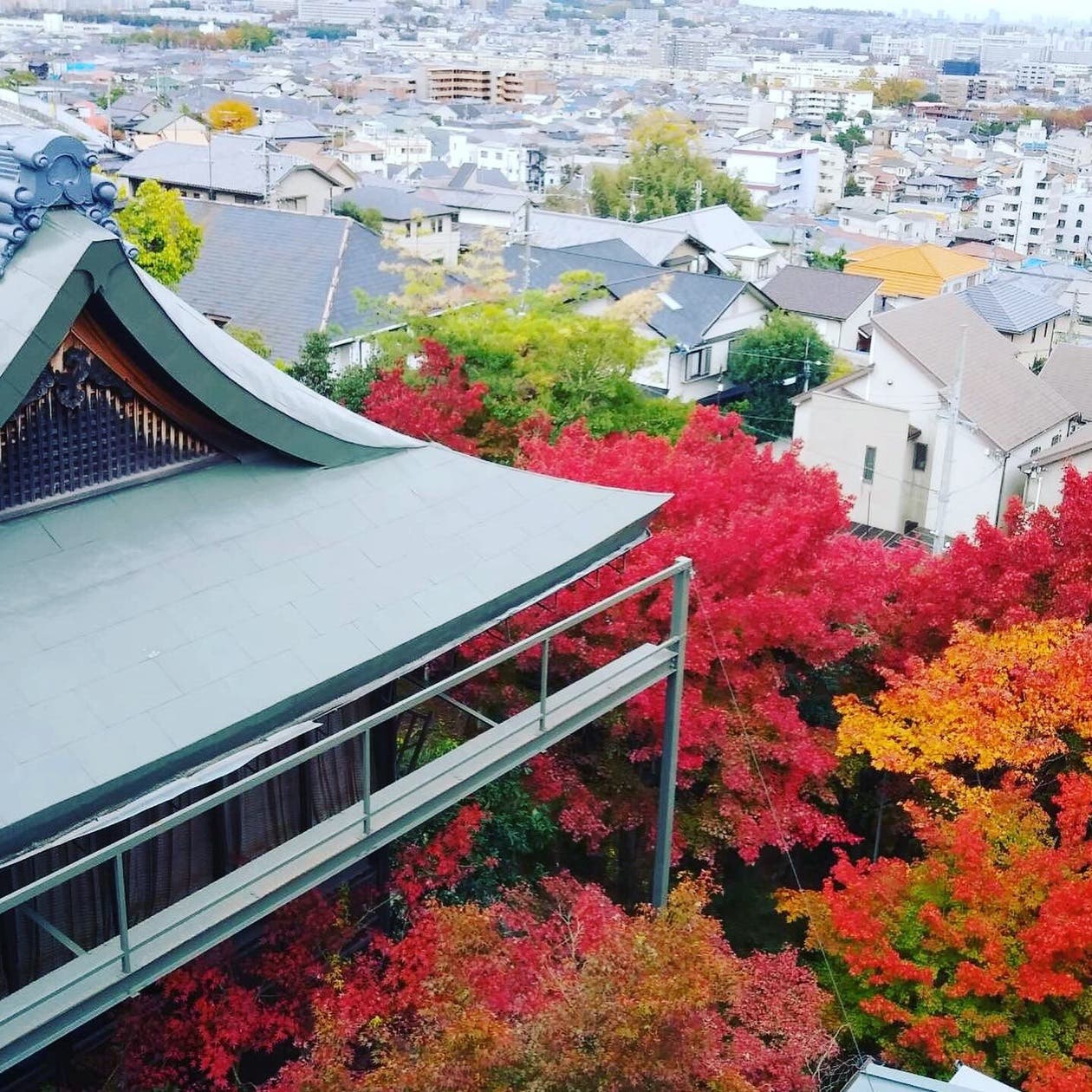 築100年以上！寺造りの日本家屋。成人式の前撮りや七五三の撮影、コスプレ撮影などに！の写真16